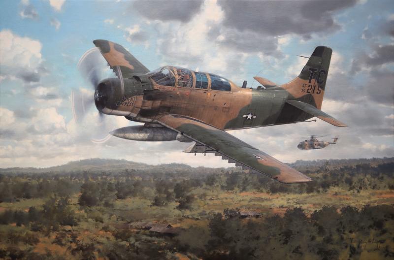 Douglas A-1E Skyraider Vietnam War Aviation Art Print Darryl Legg ...