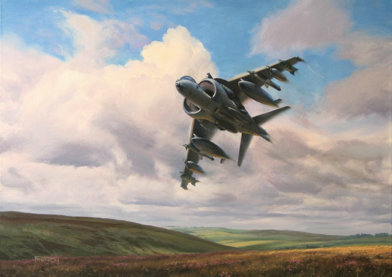 BAe Hawker Siddeley Harrier Aviation Art Painting Print by Aviation ...