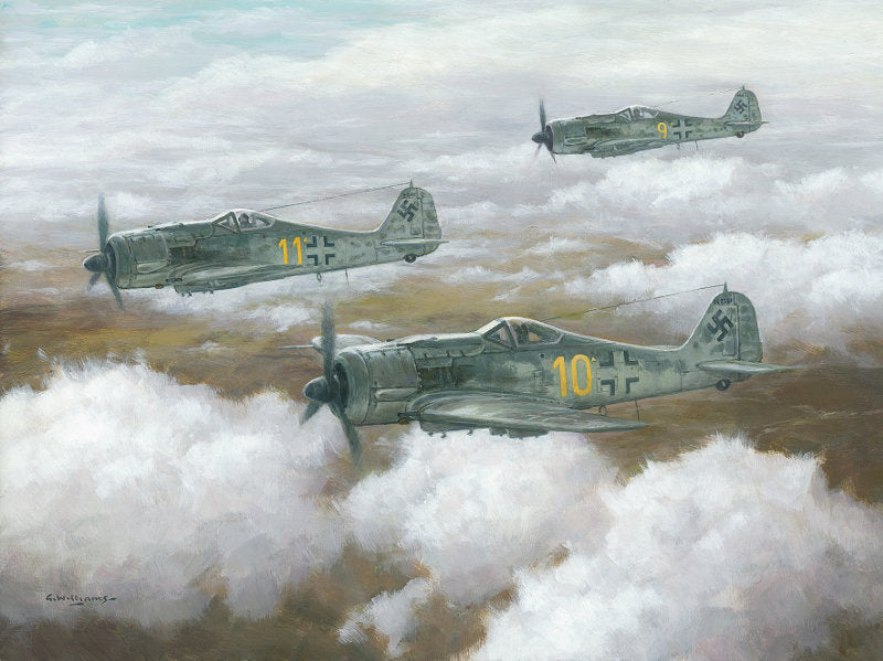 Focke-Wulf Fw-190 Aviation Art Limited Edition Print by Aviation Artist ...