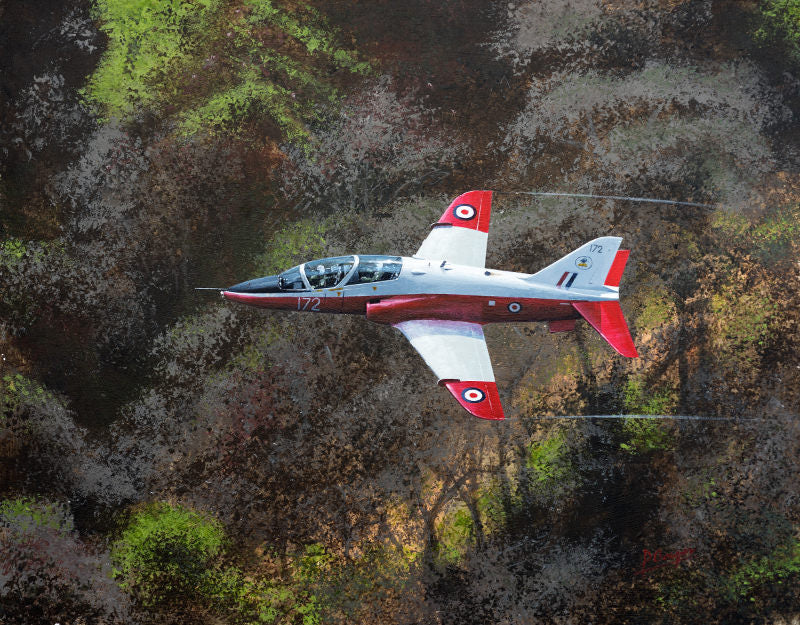 BAe Hawk 4 FTS Aviation Art Print Painting by Artist Paul Couper GAvA ...