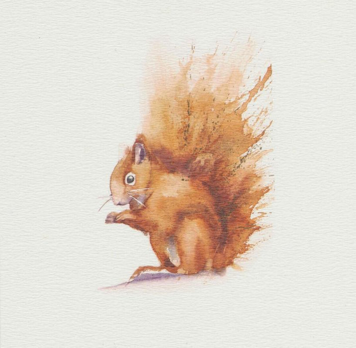 Red Squirrel Wildlife Blank Greetings Birthday Card Rachel Toll ...