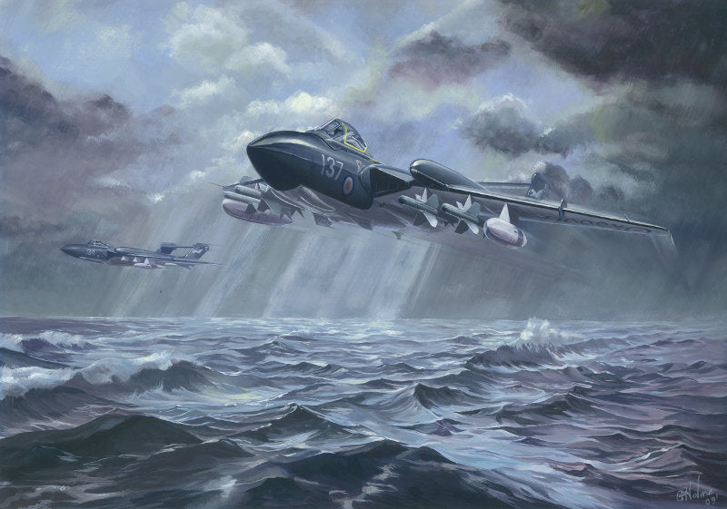 De Havilland Sea Vixen of 899 Squadron Aviation Art Print by Aviation ...